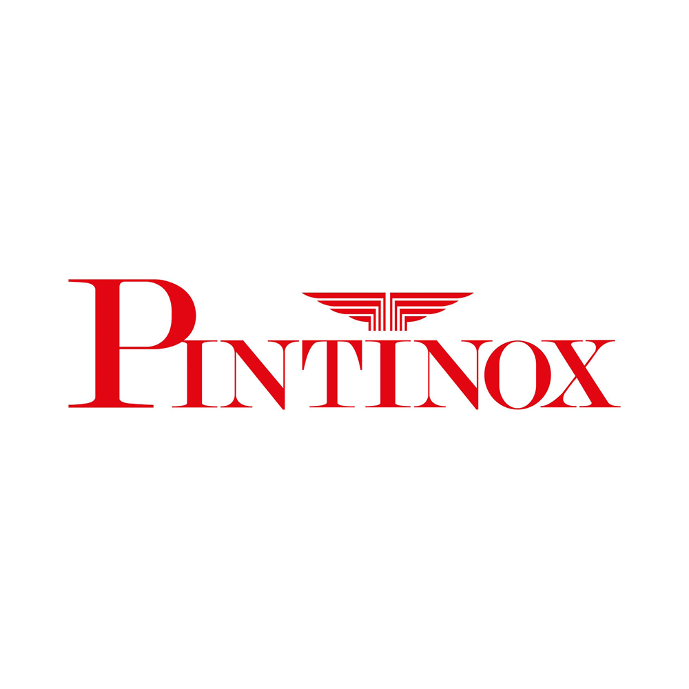pintinox logo - BBQ Store